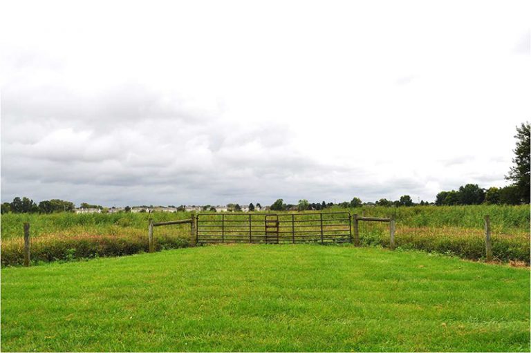 Sell Your Land for Development Cornwall Devon | Apex Land